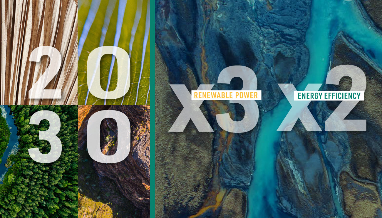 Tripling Renewable Power and Doubling Energy Efficiency by 2030